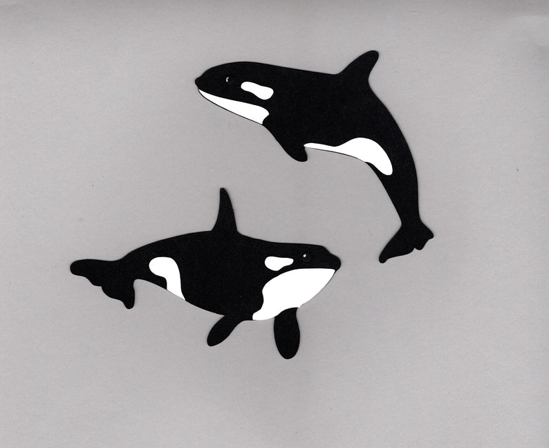 Orca Killer Whale Paper Piecing for Scrapbook Layout - Etsy