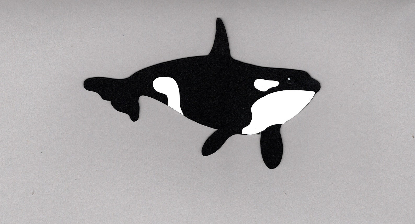 Orca Killer Whale Paper Piecing for Scrapbook Layout - Etsy