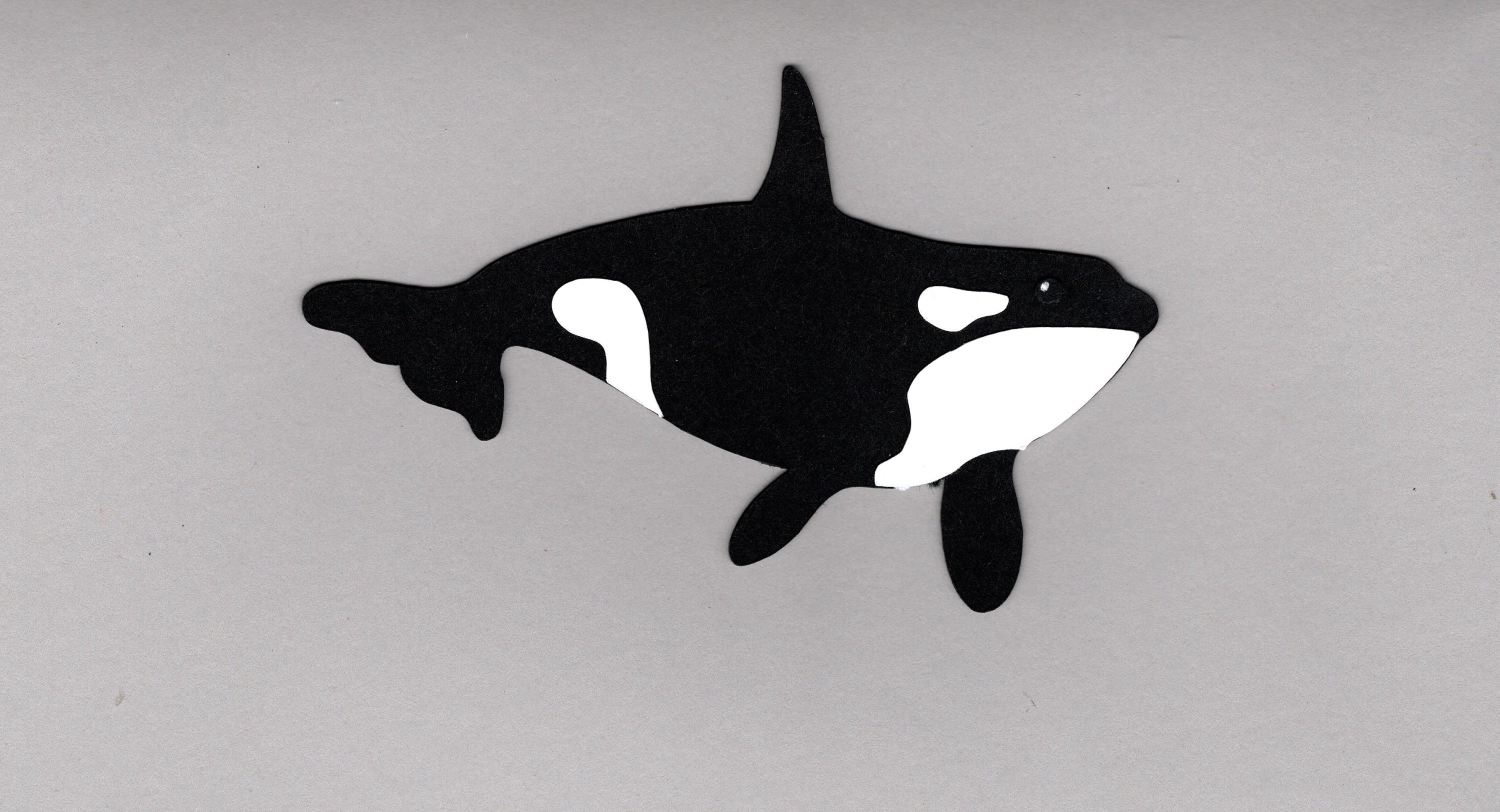 Orca Killer Whale Paper Piecing for Scrapbook Layout - Etsy