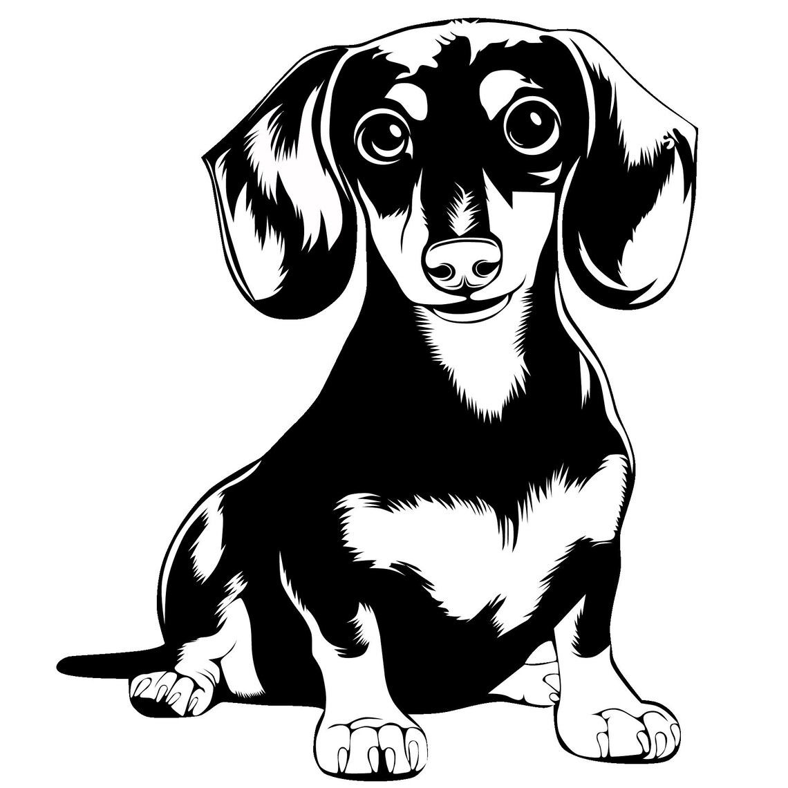 Dachshund Svg Cut File Dog Peeking for Cricut| Dachshund Full Body ...