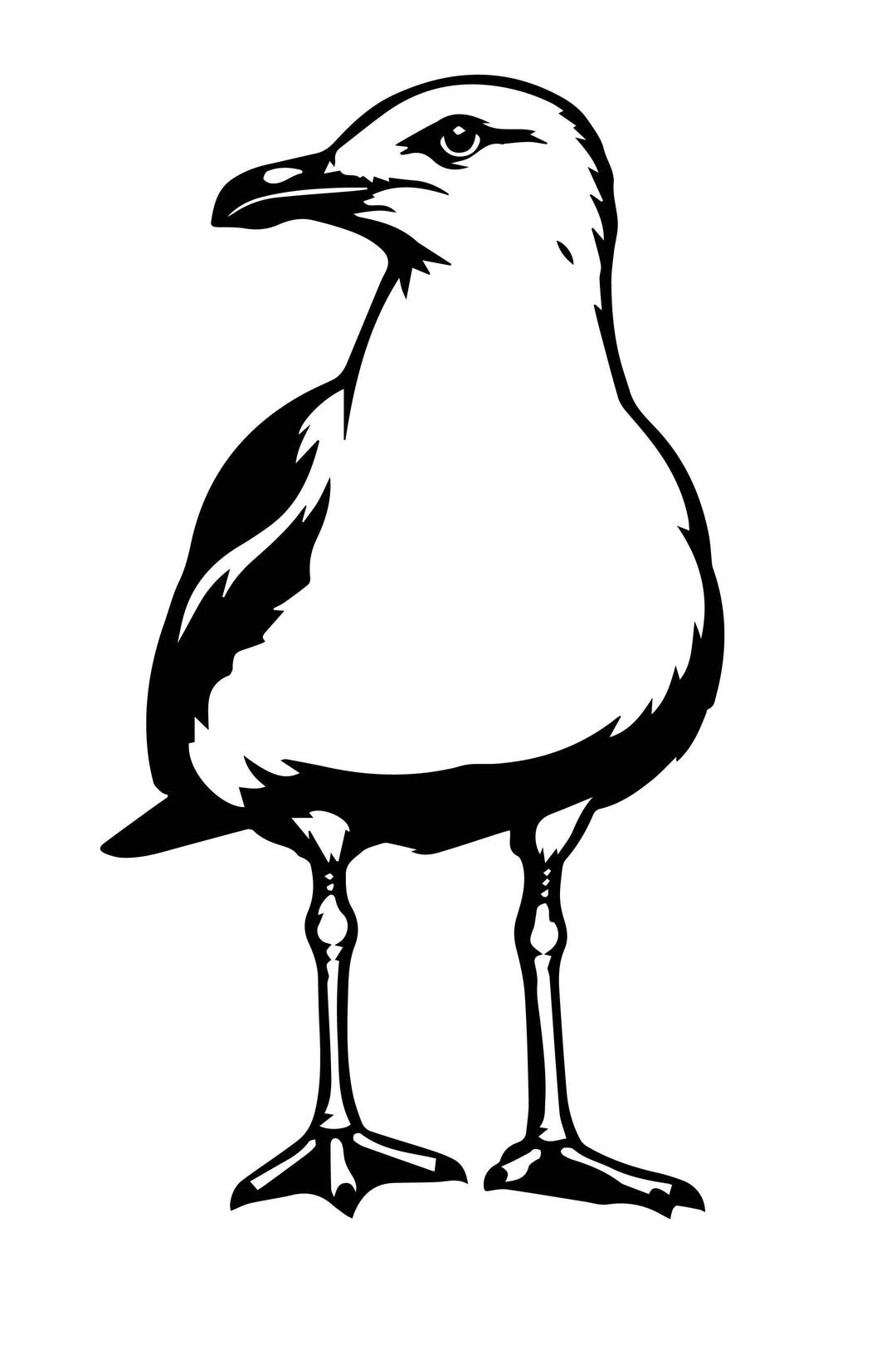 Seagull SVG |coastal Bird SVG |minimalist Seagull Line Art |nautical ...