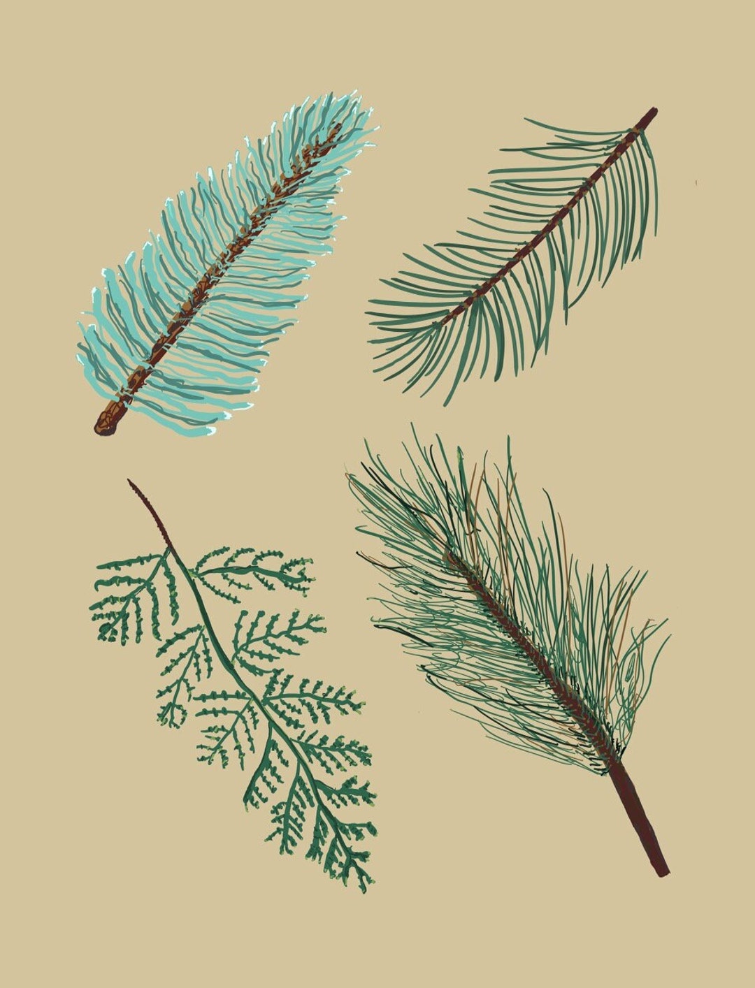 Instant Download - Evergreen Tree Needles - Digital Sketches - Etsy