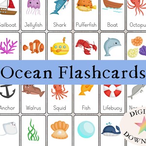 32 Ocean Flashcards for Kids, Ocean Animals, Montessori Materials ...
