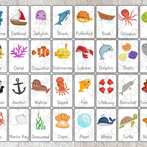 32 Ocean Flashcards for Kids, Ocean Animals, Montessori Materials ...