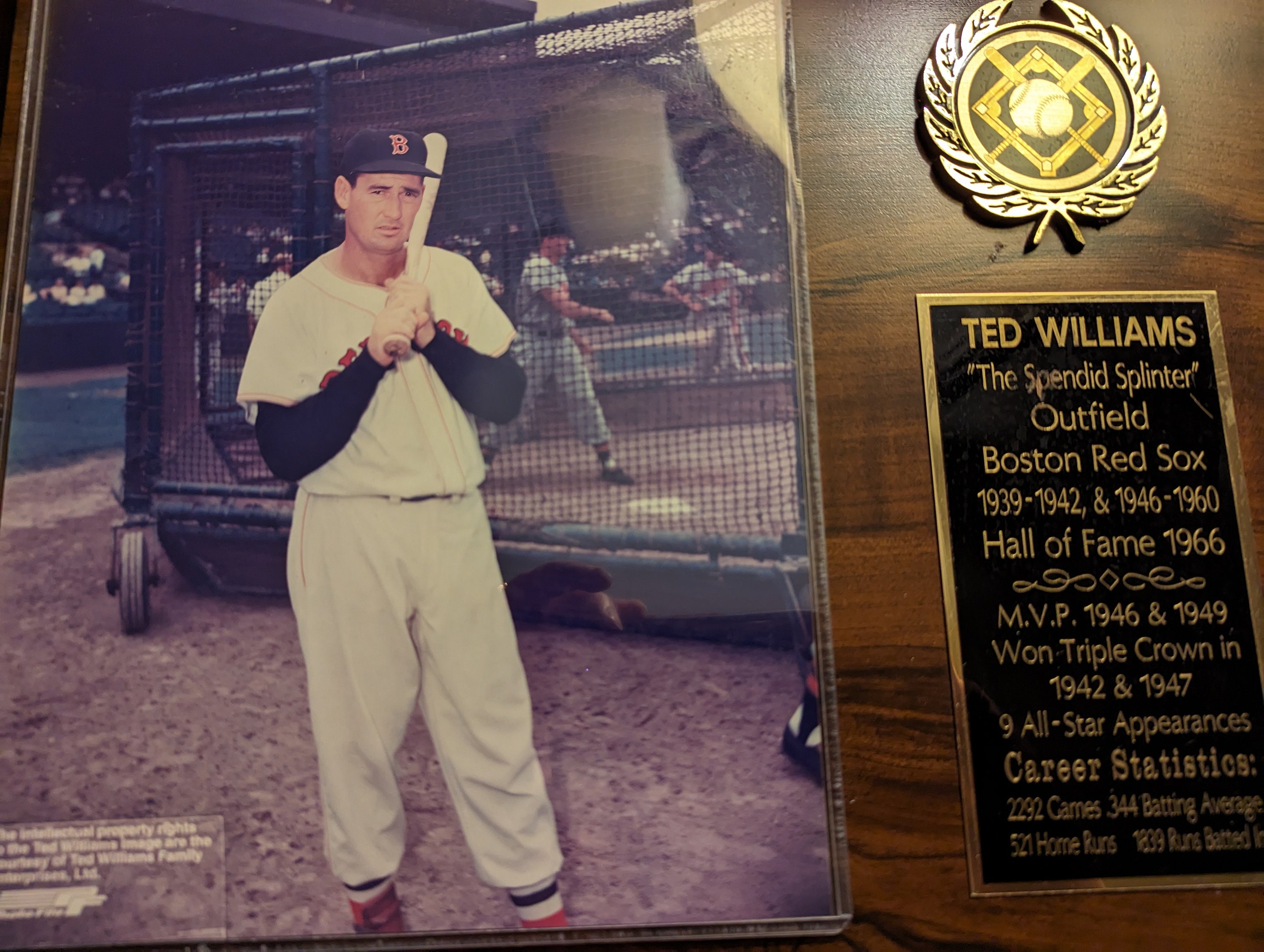 Ted Williams Wall Plaque and Books Bundle, Great Condition, Free ...
