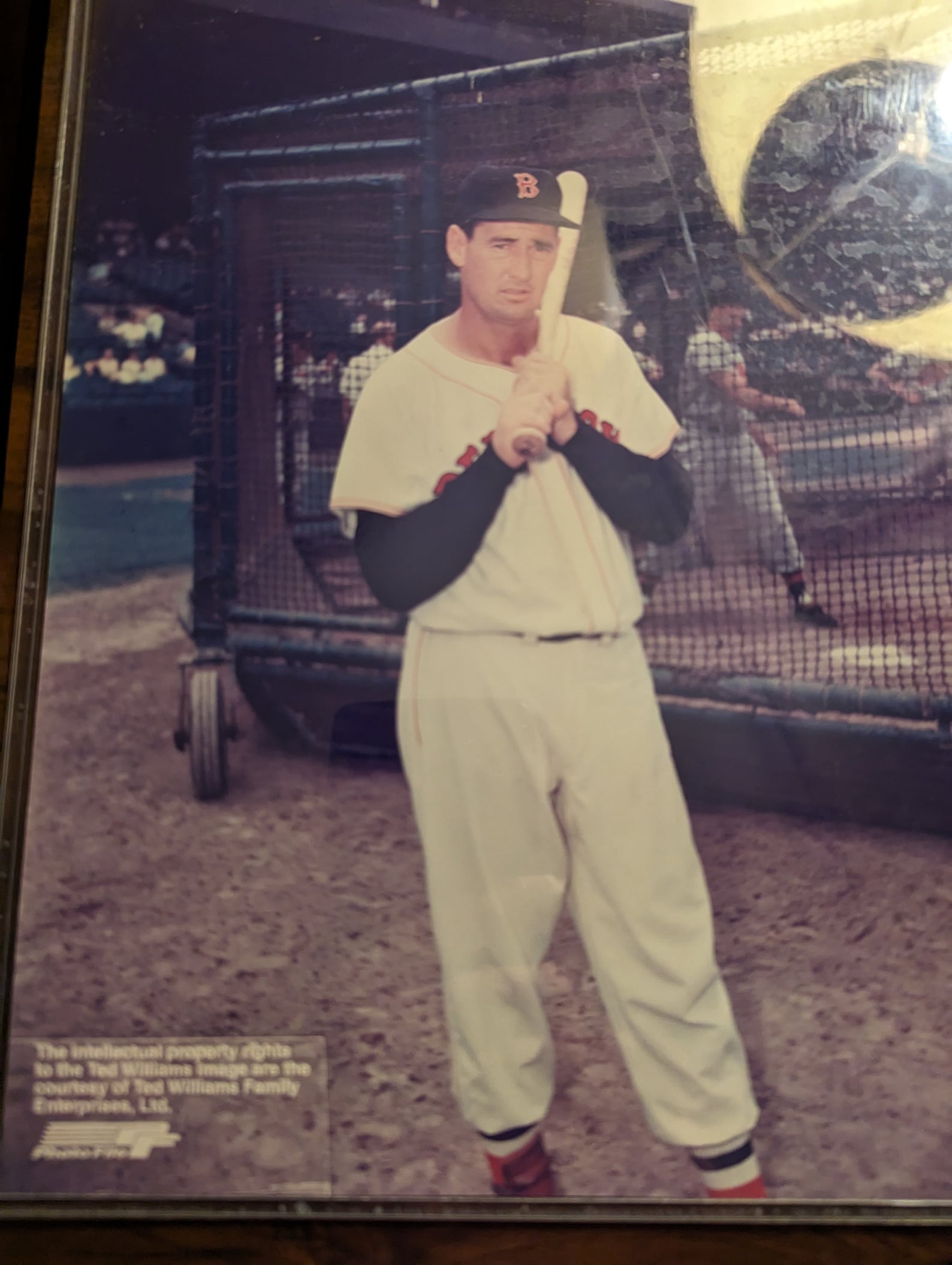 Ted Williams Wall Plaque and Books Bundle, Great Condition, Free ...