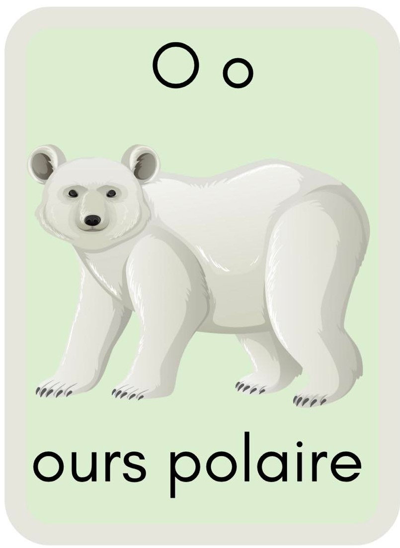 Alphabet Des Animaux Cartes De Nomenclature Flash Cards - Etsy