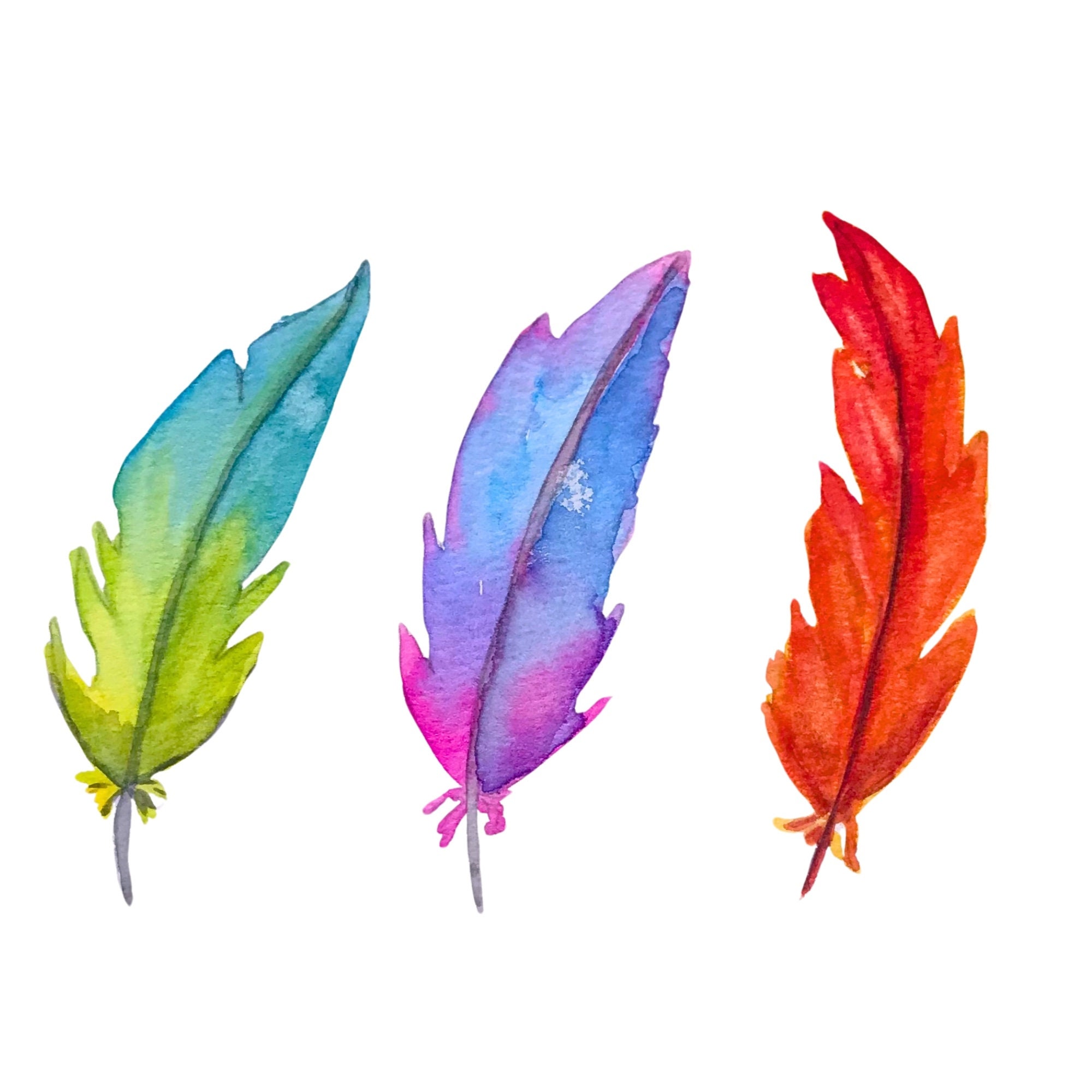 DIY Watercolor Feathers Instant Download ,tracer and Reference Photo ...