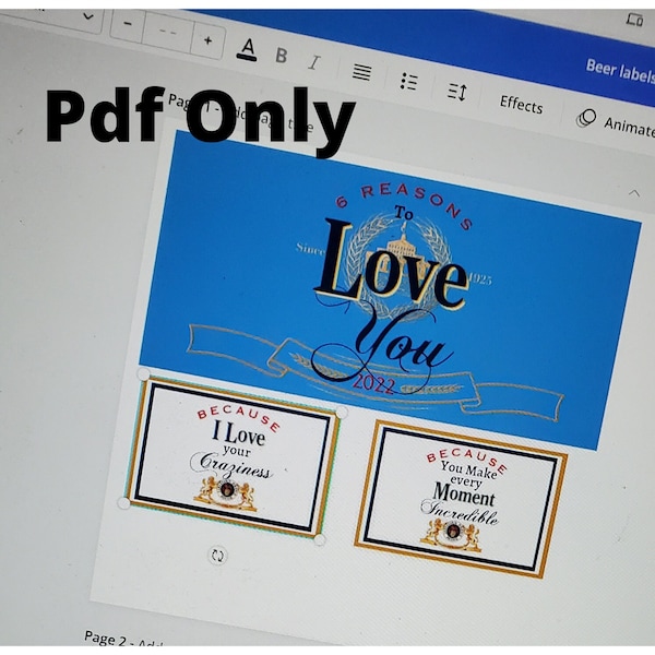 Beer Bottle Labels Modelo - Etsy