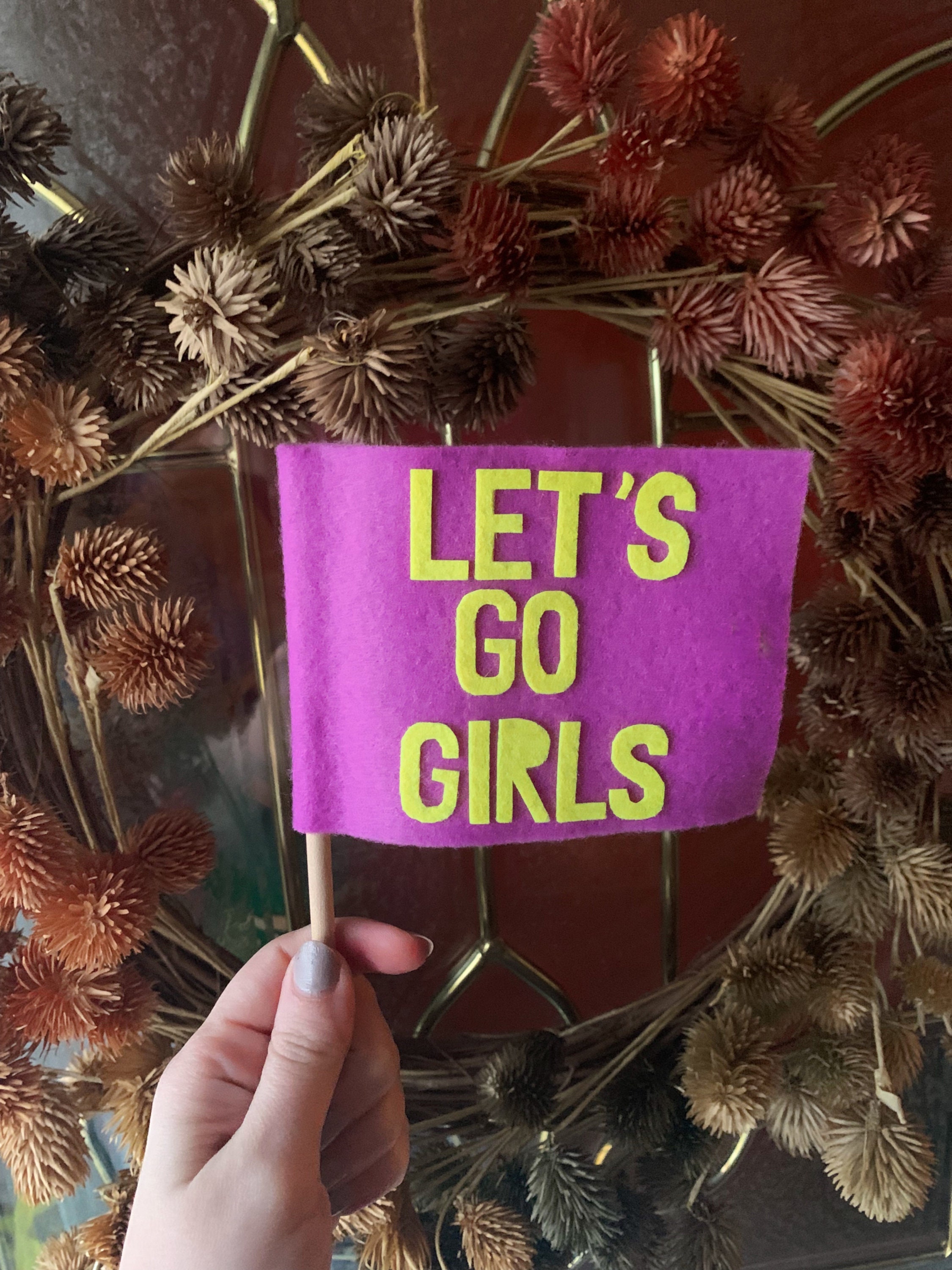 Lets Go Girls Mini Flag - Etsy