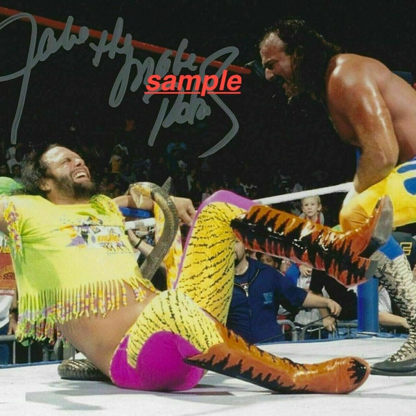 Jake the Snake - Etsy