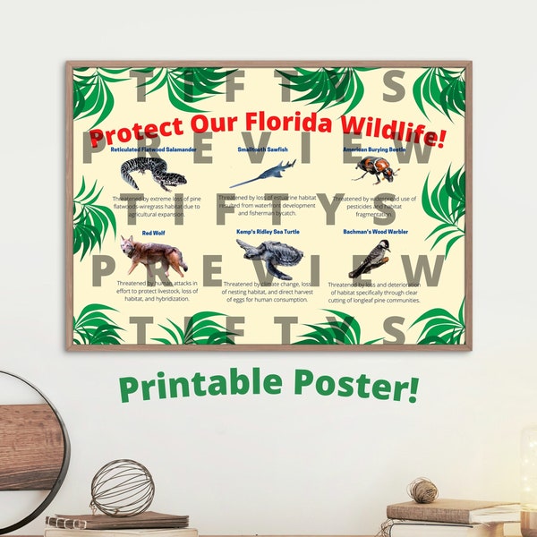 Endangered Animal Poster - Etsy