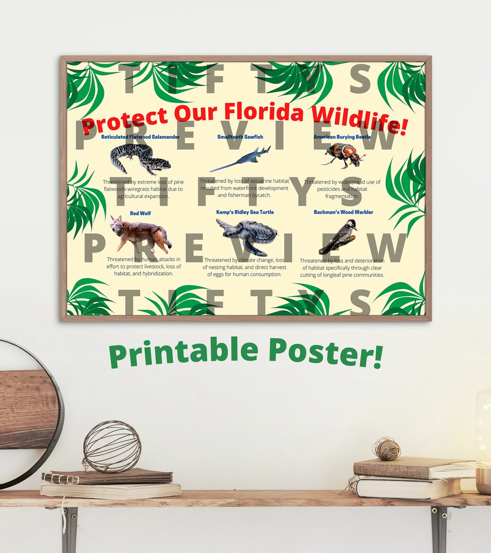 Endangered Wildlife Poster | Florida Wildlife | Endangered Species ...