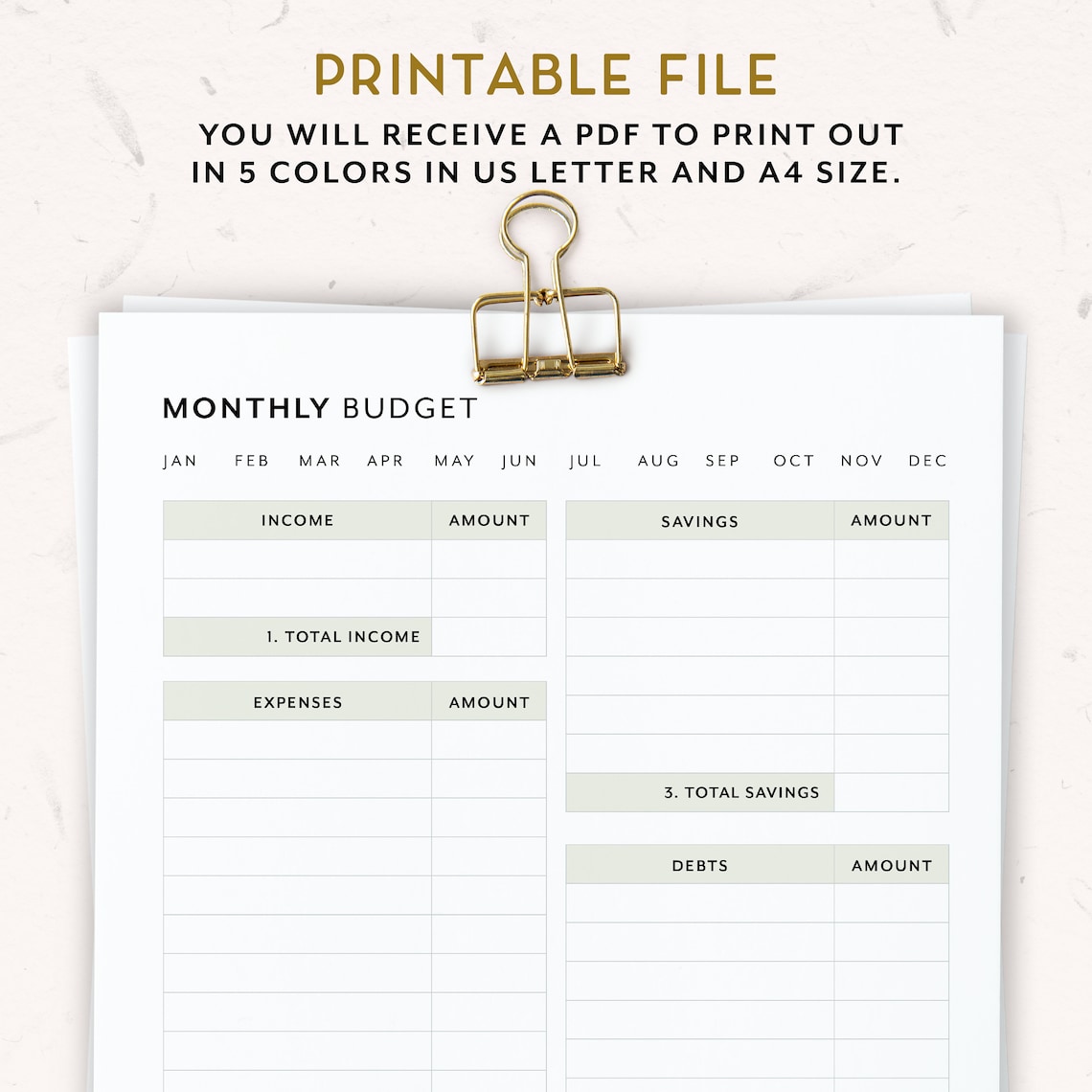 Monthly Budget Template, Printable Finance Planner, Paycheck Budget Pdf ...