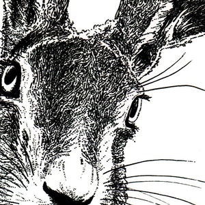 Hare Quality Print / A4 / Unframed - Etsy