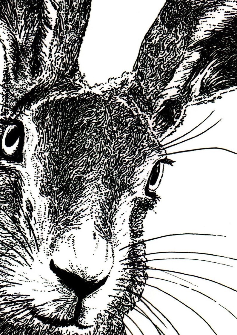 Hare Quality Print / A4 / Unframed - Etsy