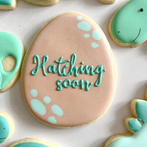 Dino Baby Shower Cookies | Hatching Soon Cookies - Etsy