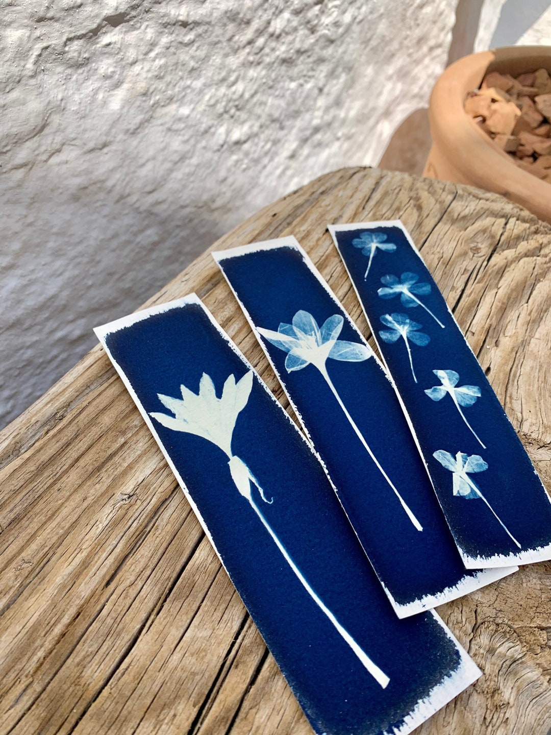 Cyanotype Print, Blue Prints, Cyanotype Art, Botanical Prints ...