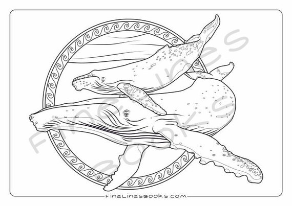 Humpback Whales Coloring Pages