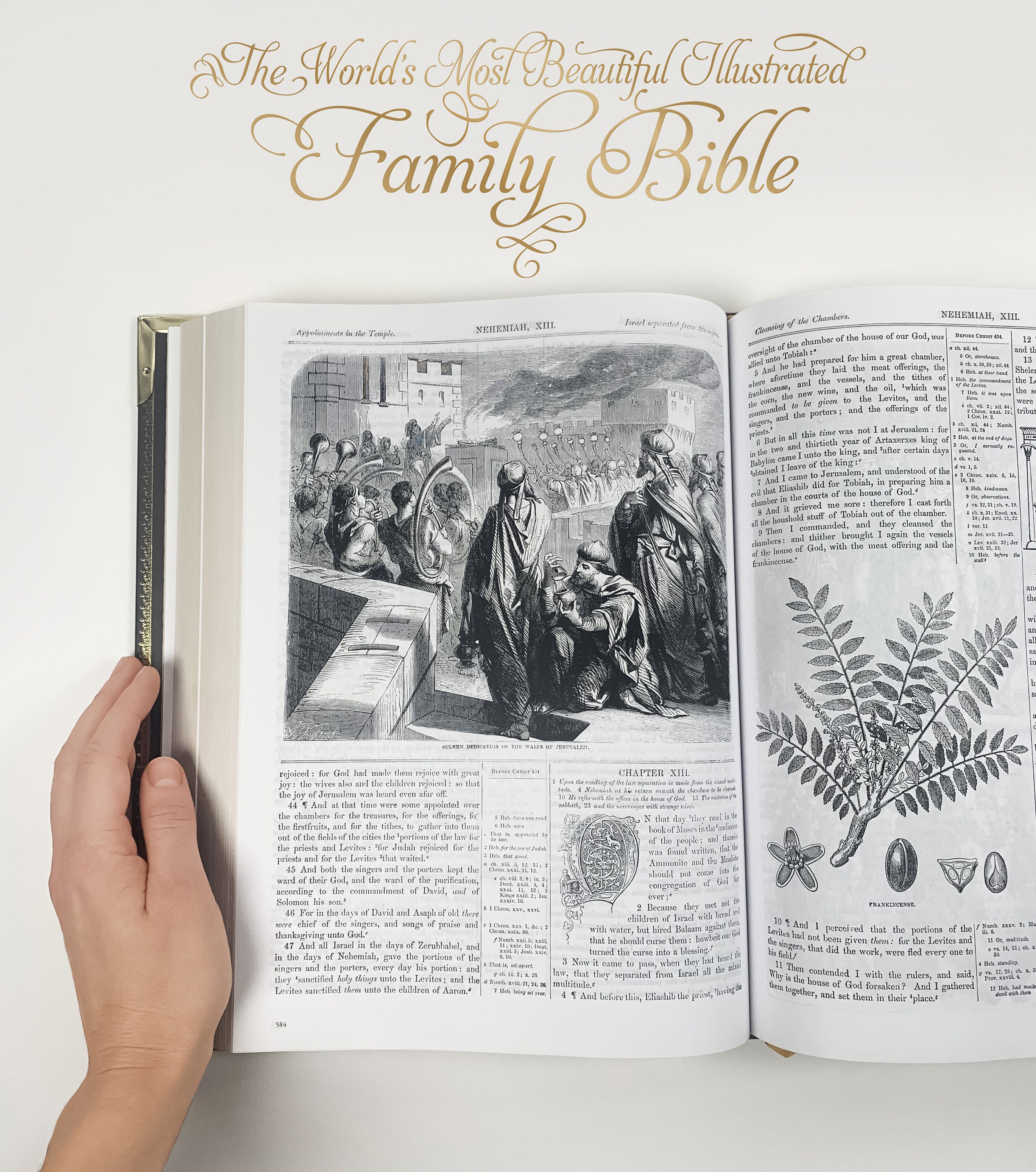 The World's Most Beautiful Illustrated Family Bible Personalized - KJV ...