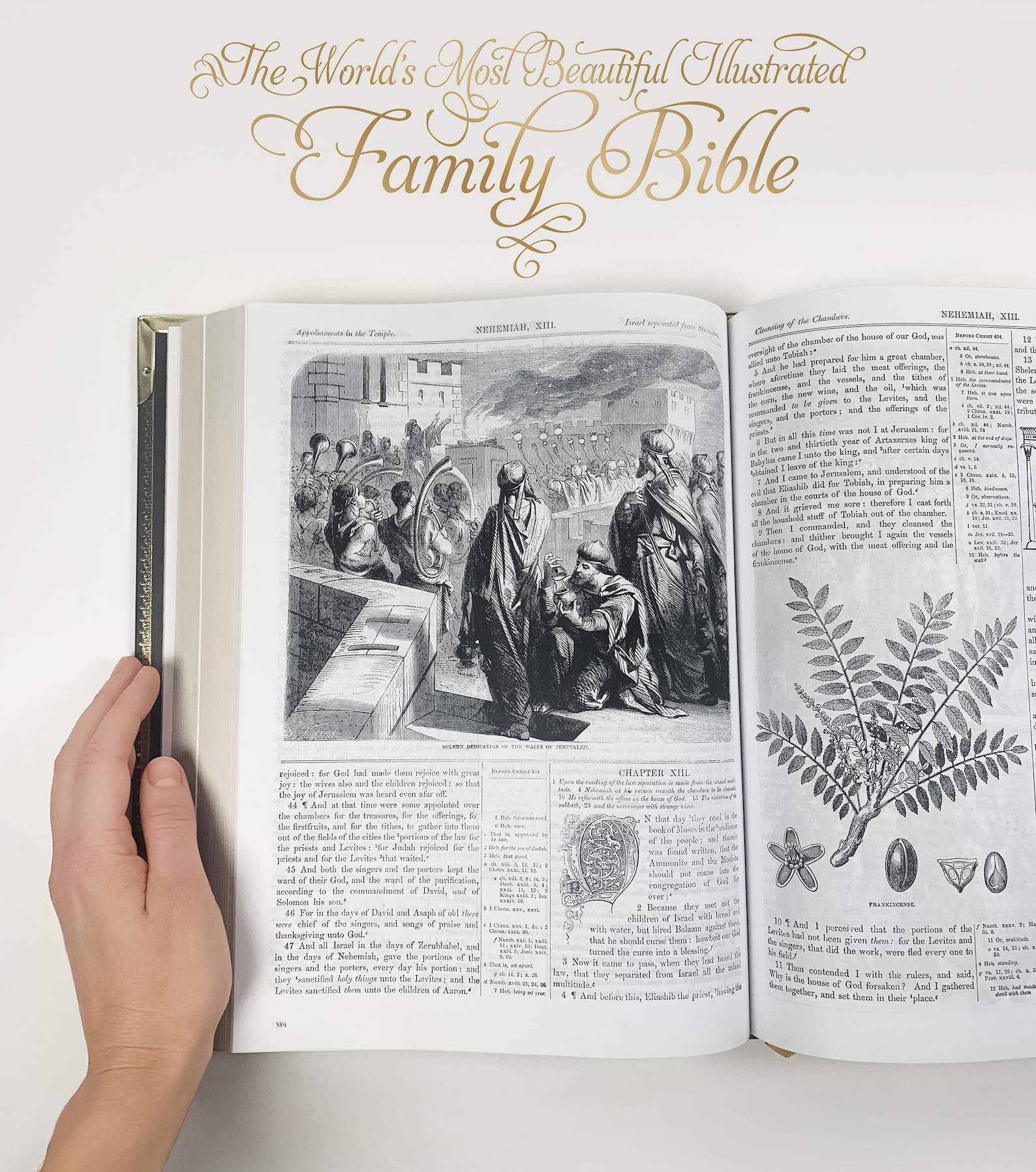The World's Most Beautiful Illustrated Family Bible Personalized - KJV ...