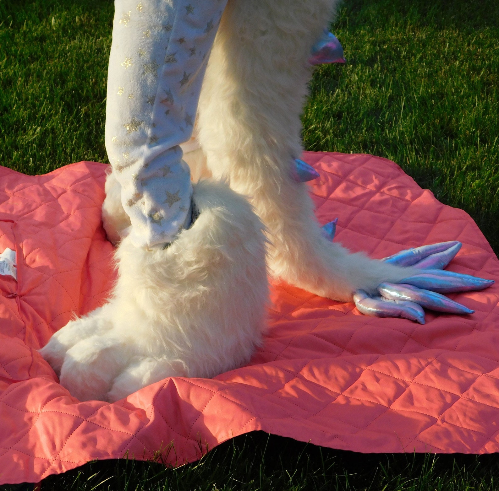 Fursuit Mystery Box please Read - Etsy