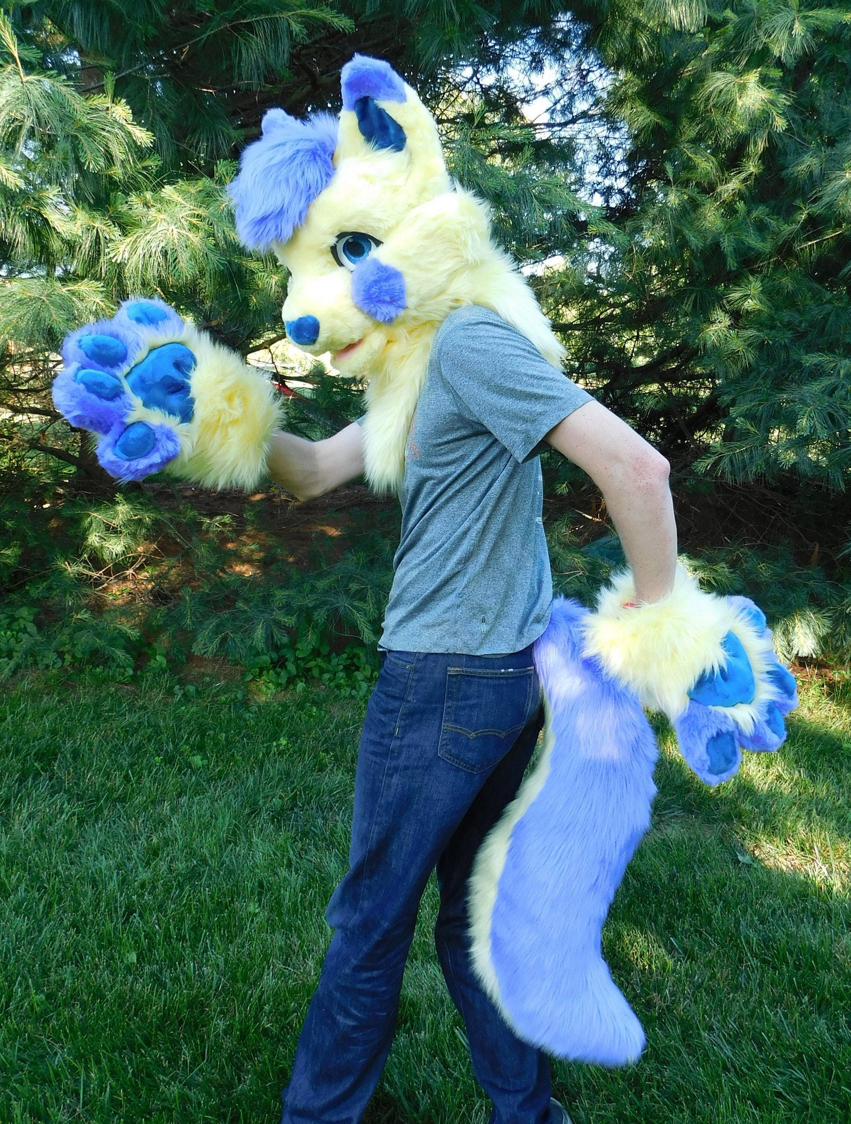 Fursuit Mystery Box please Read - Etsy Norway