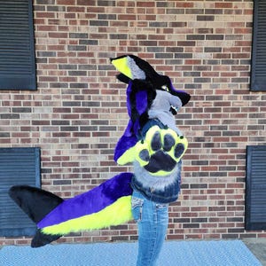 Ace the Manokit Partial fursuit Head, Half Sleeve Hand Paws, Magnetic ...