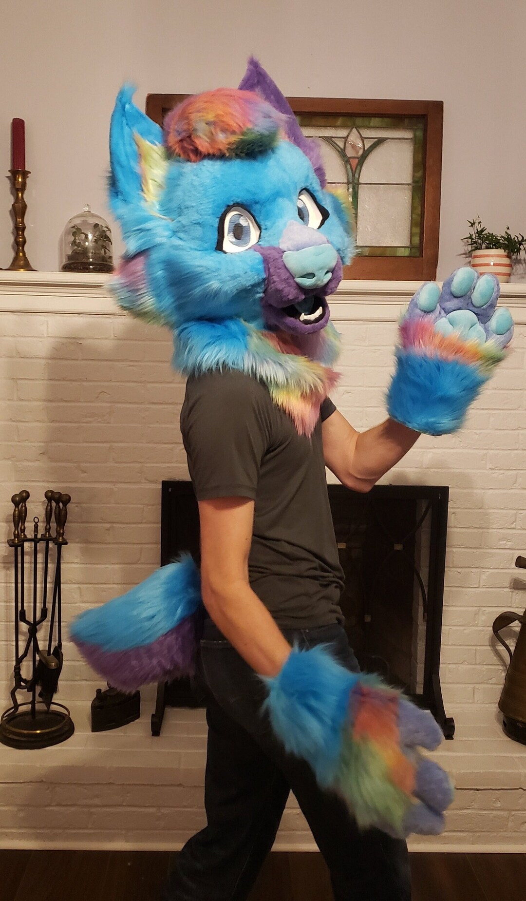 Fursuit Mystery Box please Read - Etsy Norway