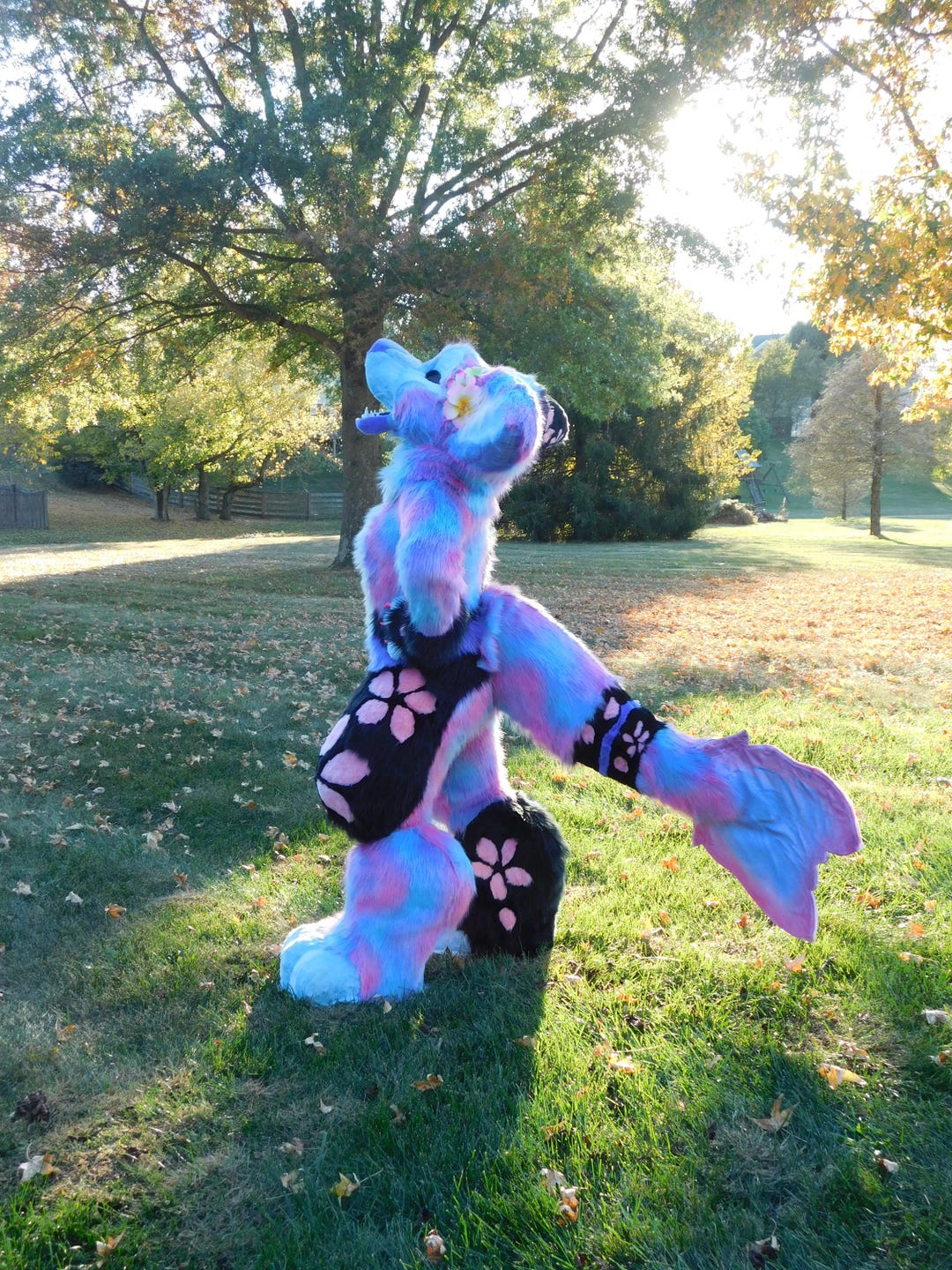 Last Payment for Jager Dog, Body Suit and Feet Paws, - Etsy