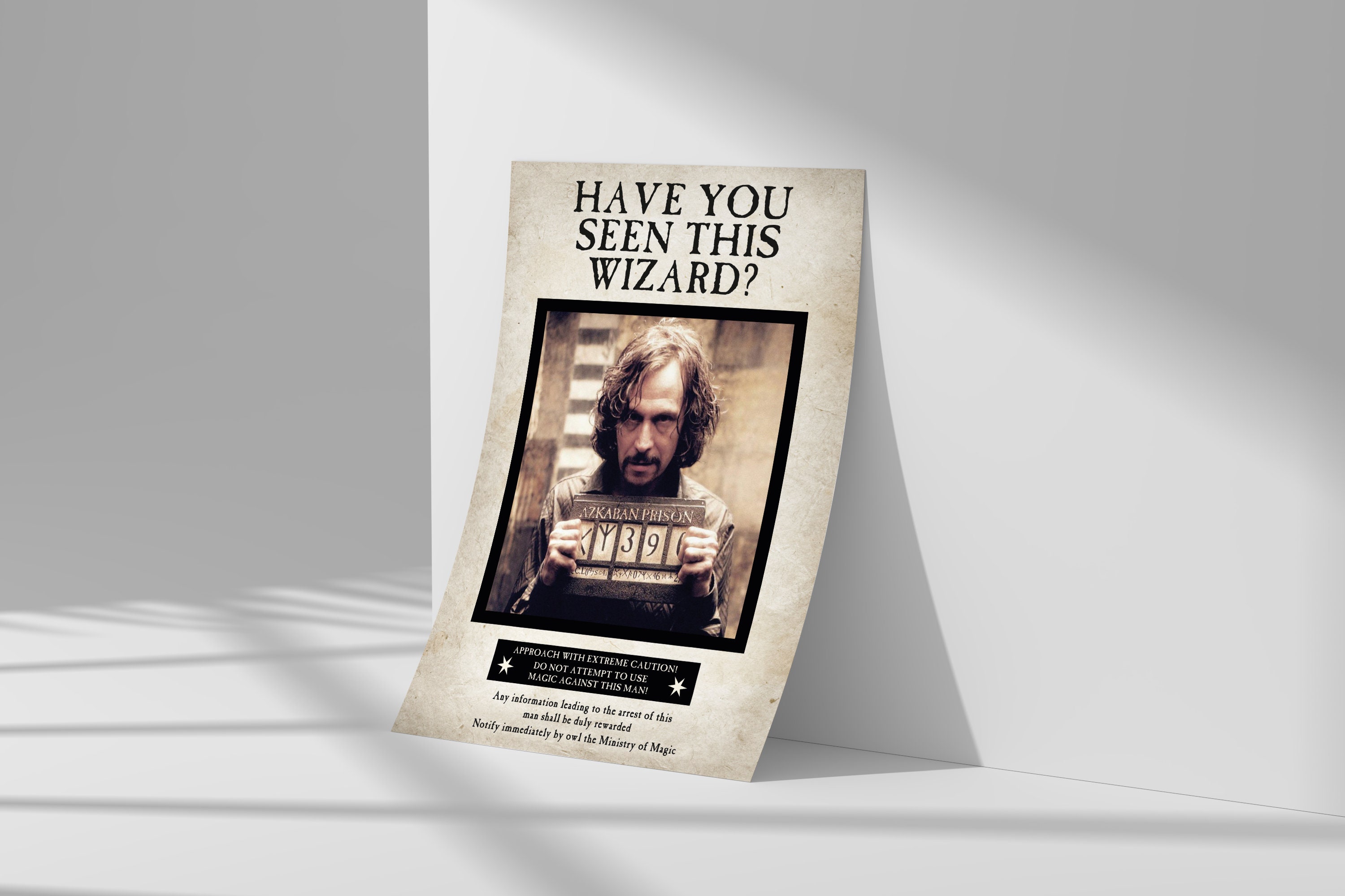 Have You Seen Wizart Movie Poster, Harry Potter Poster, Hogwarts ...
