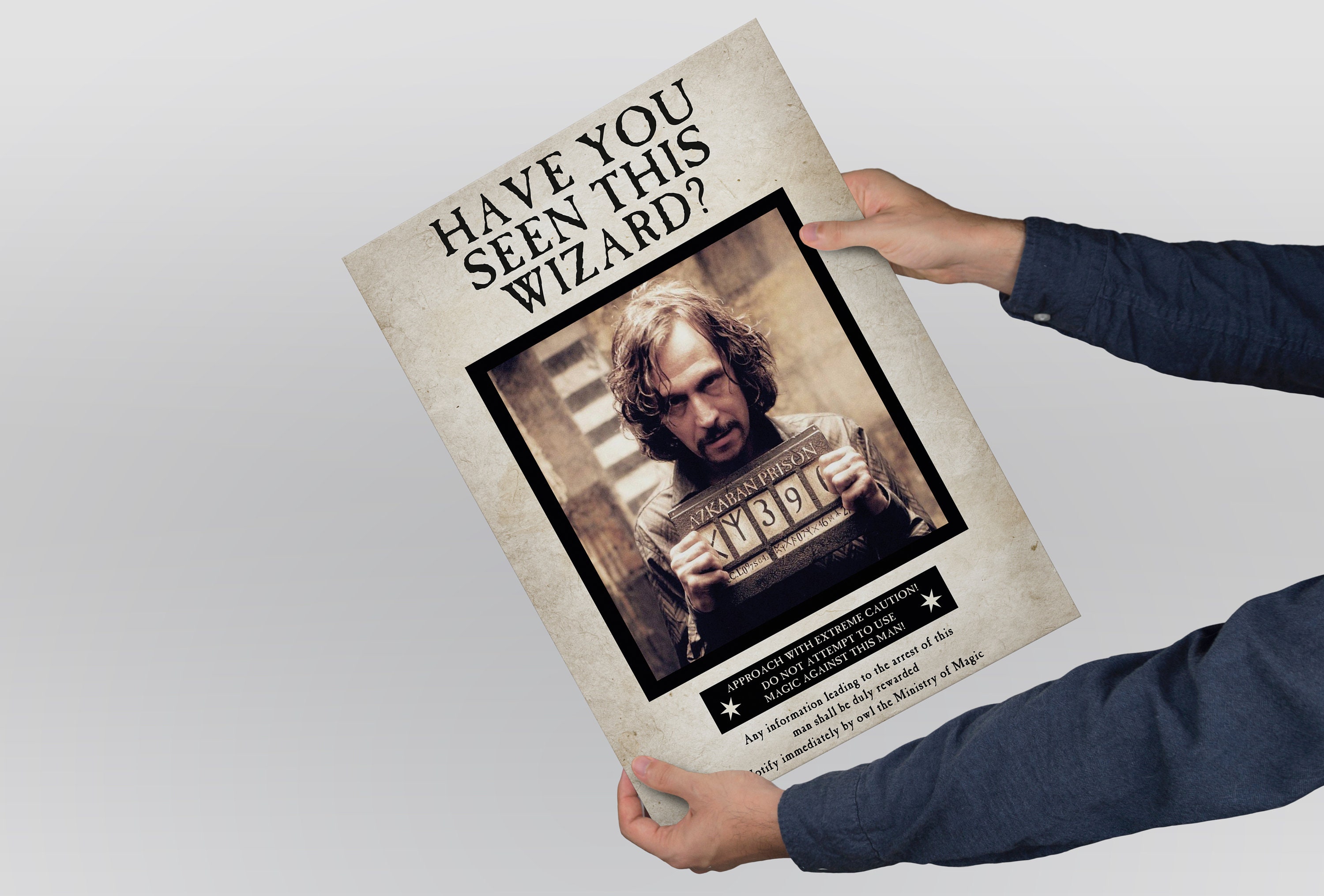 Have You Seen Wizart Movie Poster, Harry Potter Poster, Hogwarts ...