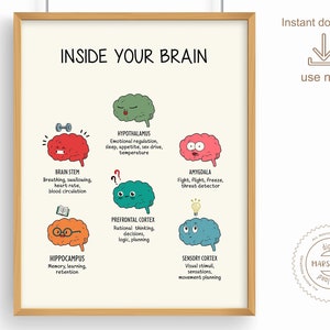 Brain Functions Poster, Inside Your Brain, the Human Brain Poster ...