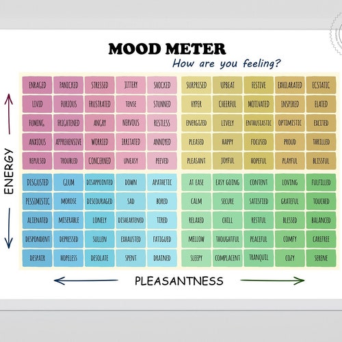 Mood Meter Print Feelings Thermometer Self Regulation - Etsy