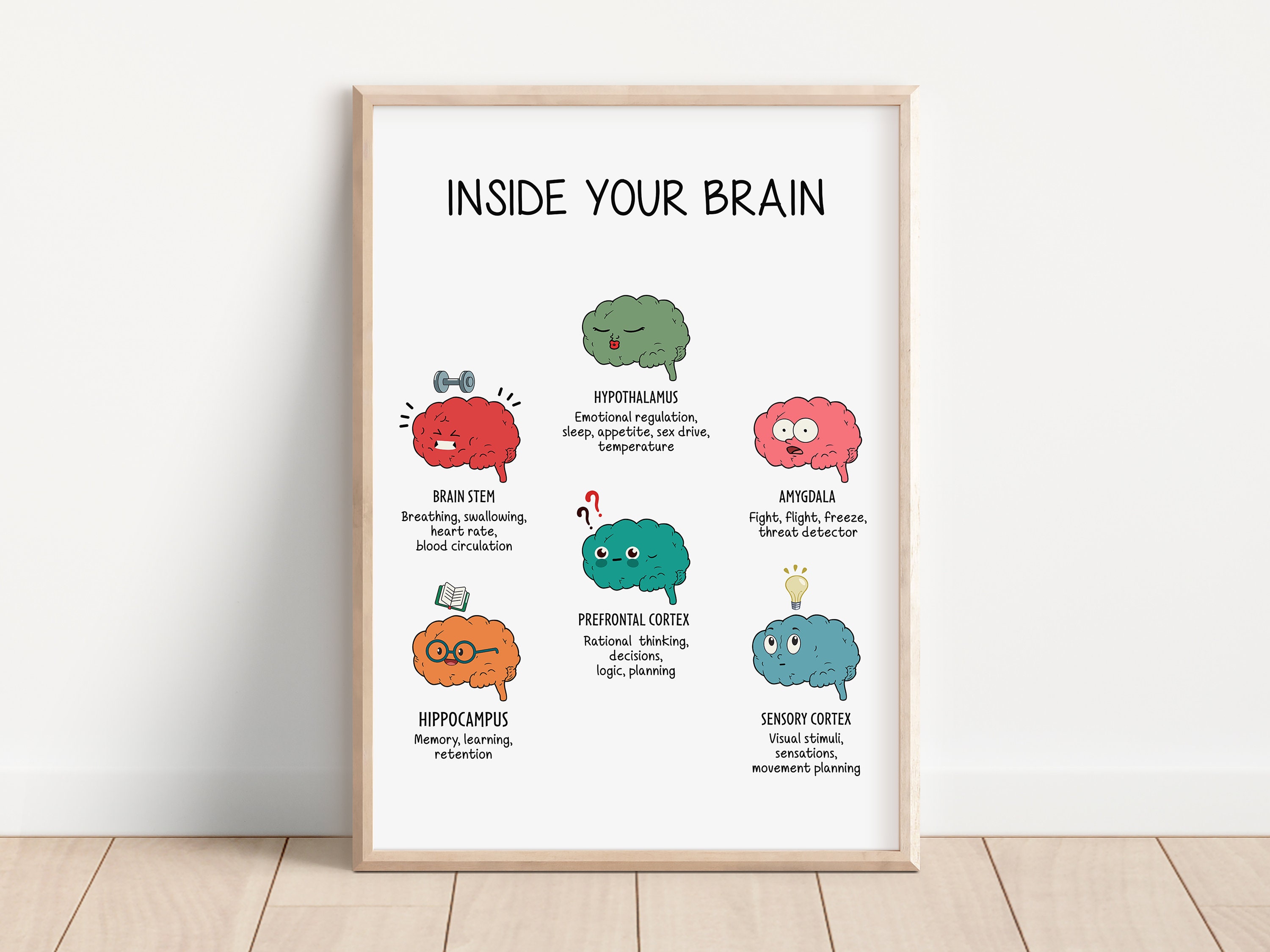 Brain Functions Poster, Parts of the Brain, Inside Your Brain, the ...