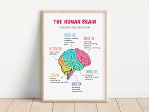 Brain and Neuroscience Therapy and Education Bundle: Psychoeducation ...