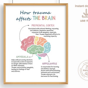 How Trauma Affects the Brain, Trauma and the Brain, Brain Anatomy ...