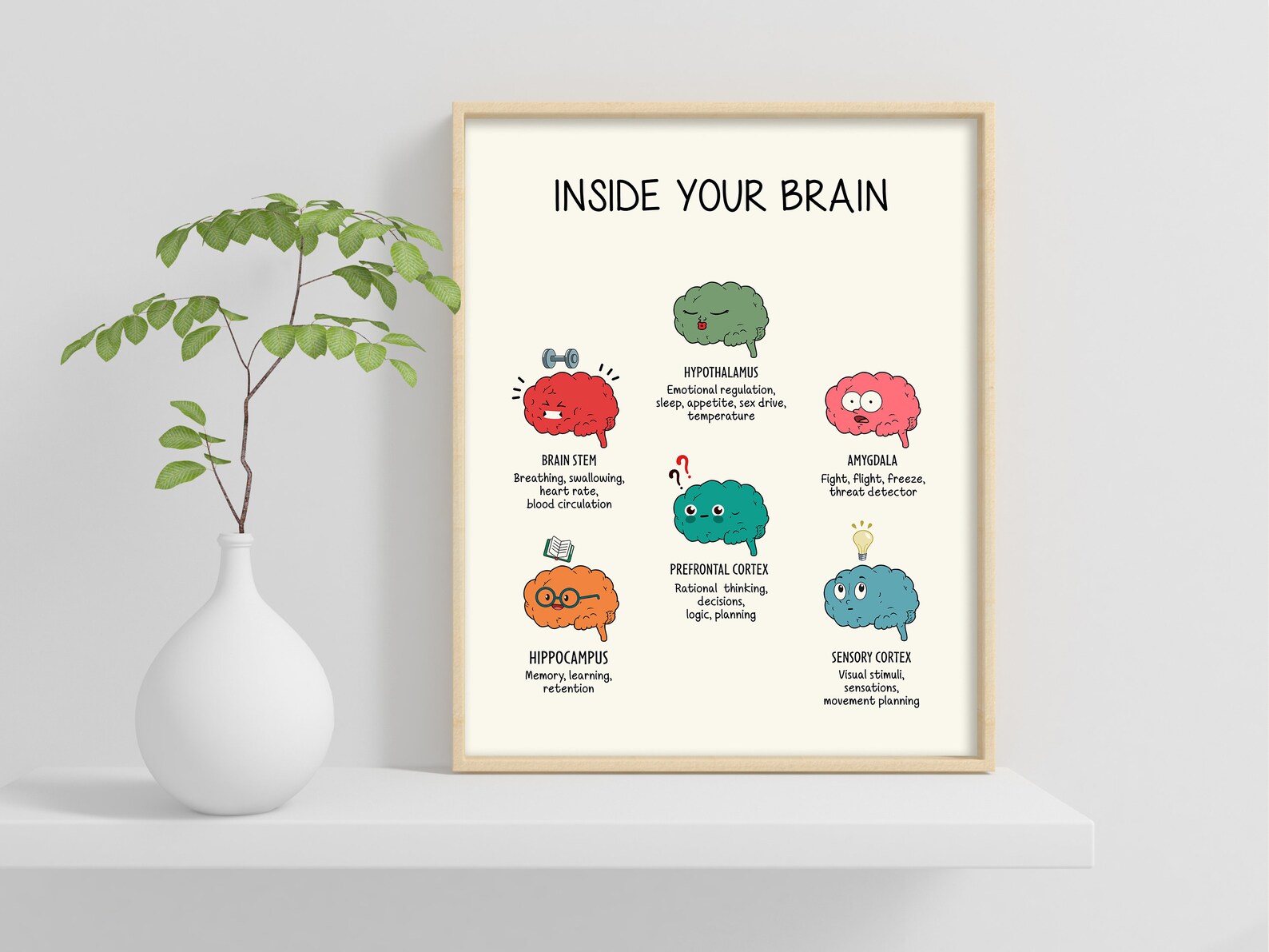 Brain Functions Poster, Inside Your Brain, the Human Brain Poster ...