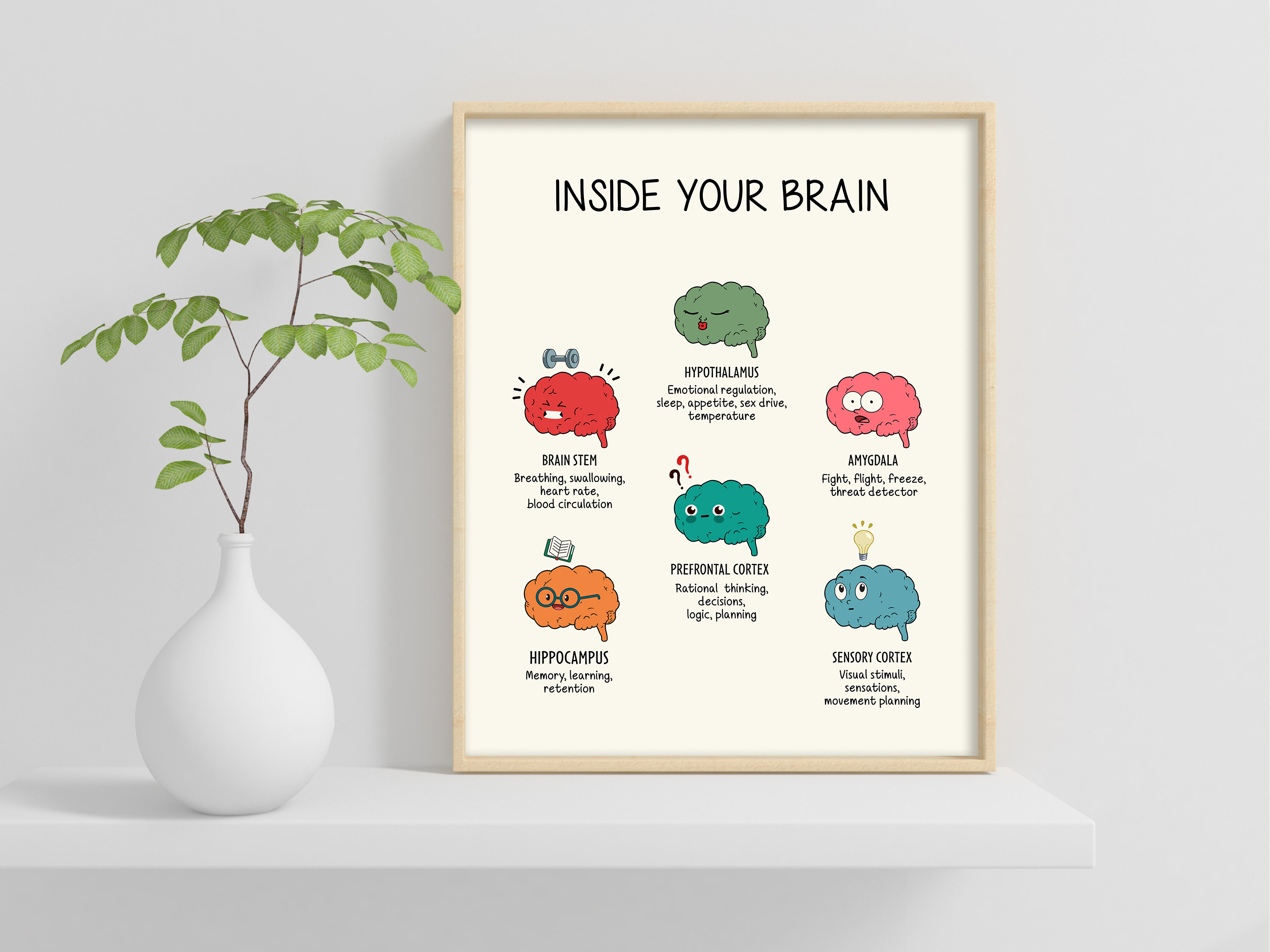 Brain Functions Poster, Inside Your Brain, the Human Brain Poster ...