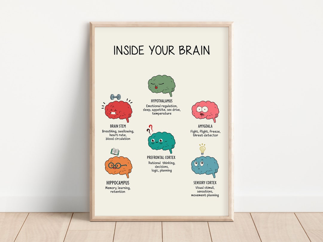 Brain Functions Poster, Inside Your Brain, the Human Brain Poster ...