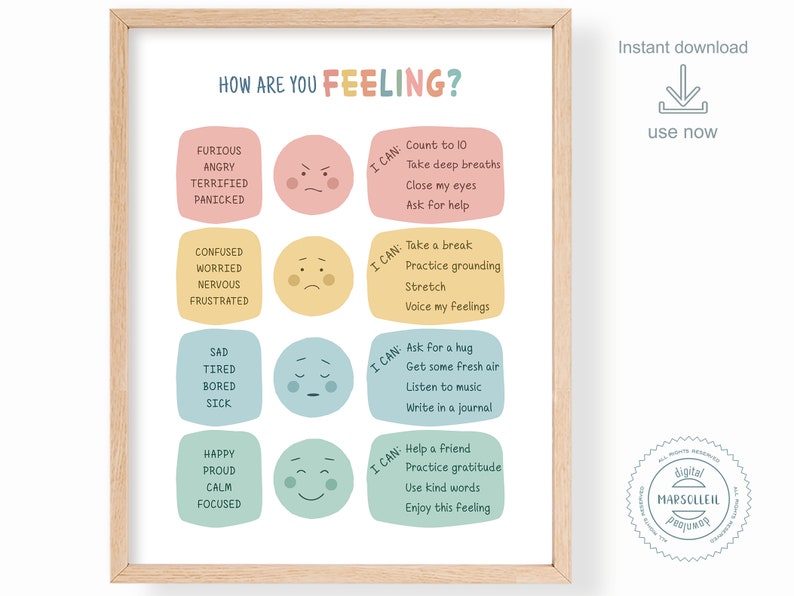 Feelings Chart and Emotional Regulation Zones of Regulation - Etsy