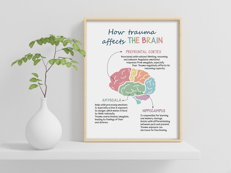 How Trauma Affects the Brain, Trauma and the Brain, Brain Anatomy ...
