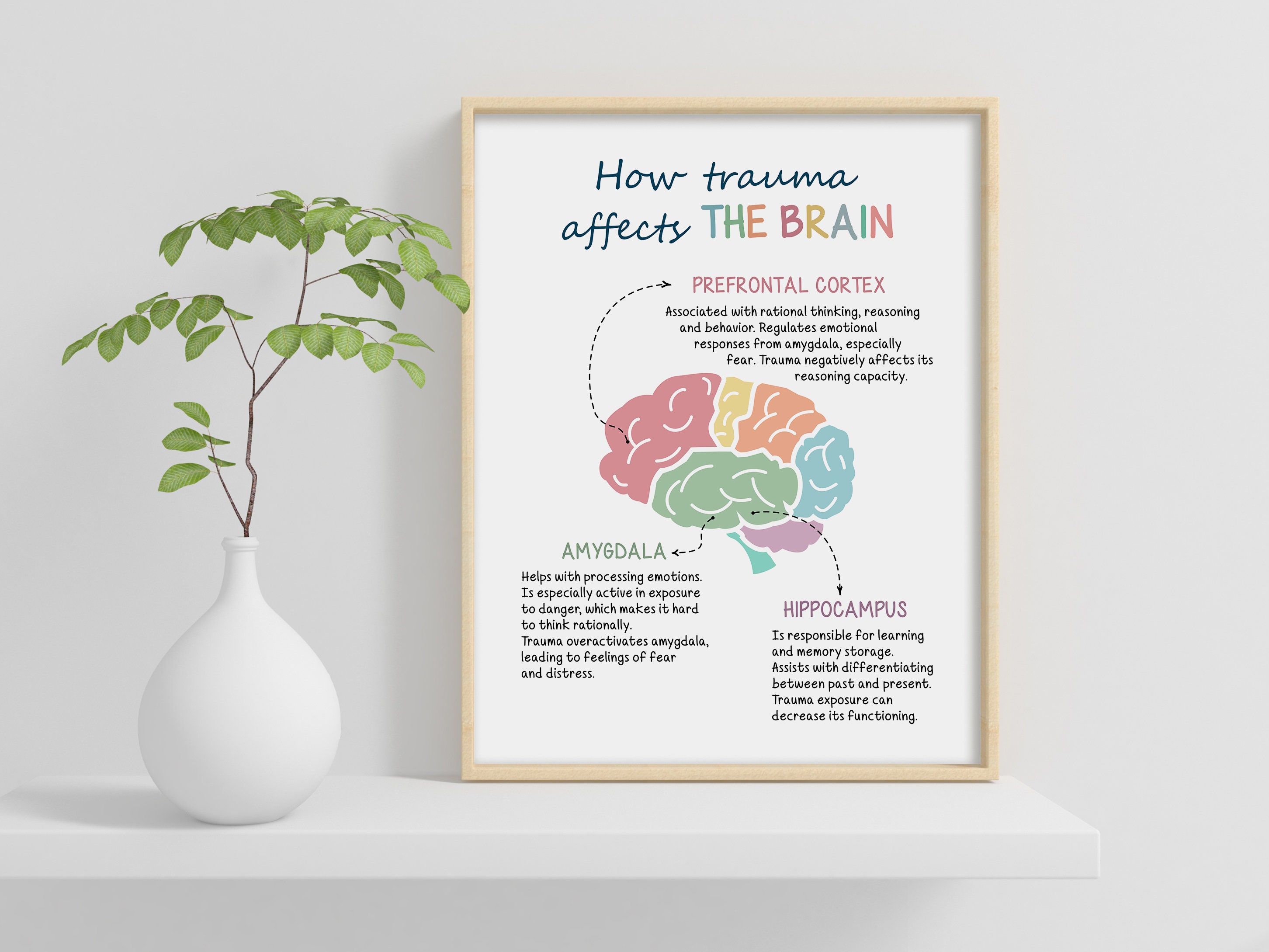 How Trauma Affects the Brain, Trauma and the Brain, Brain Anatomy ...