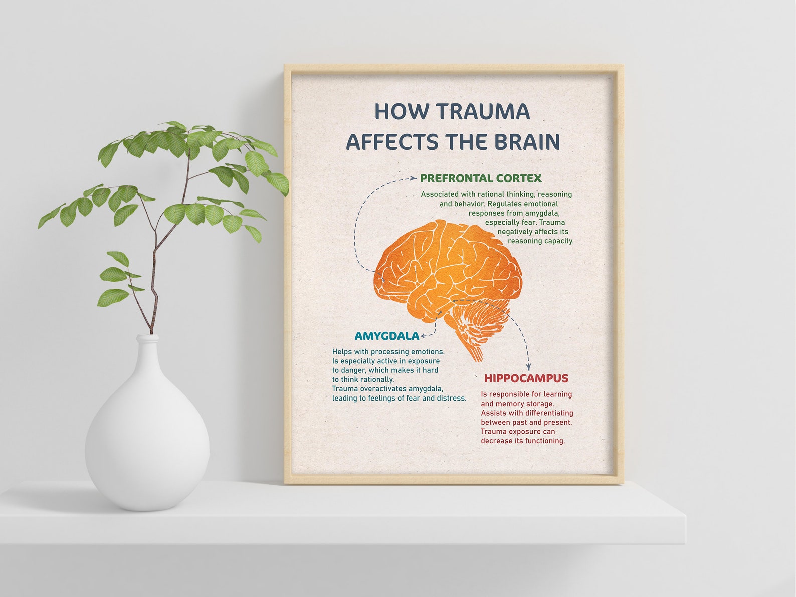 How Trauma Affects the Brain, Trauma Healing, Mental Health, Therapy ...