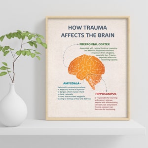 How Trauma Affects the Brain, Trauma Healing, Mental Health, Therapy ...