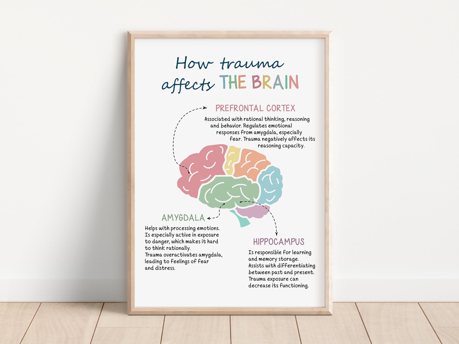How Trauma Affects the Brain, Trauma and the Brain, Brain Anatomy ...