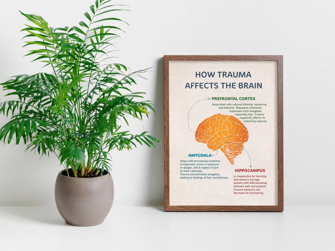 How Trauma Affects the Brain, Trauma Healing, Mental Health, Therapy ...