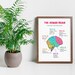Brain Poster Brain Lobes Functions Therapy Office Decor the - Etsy