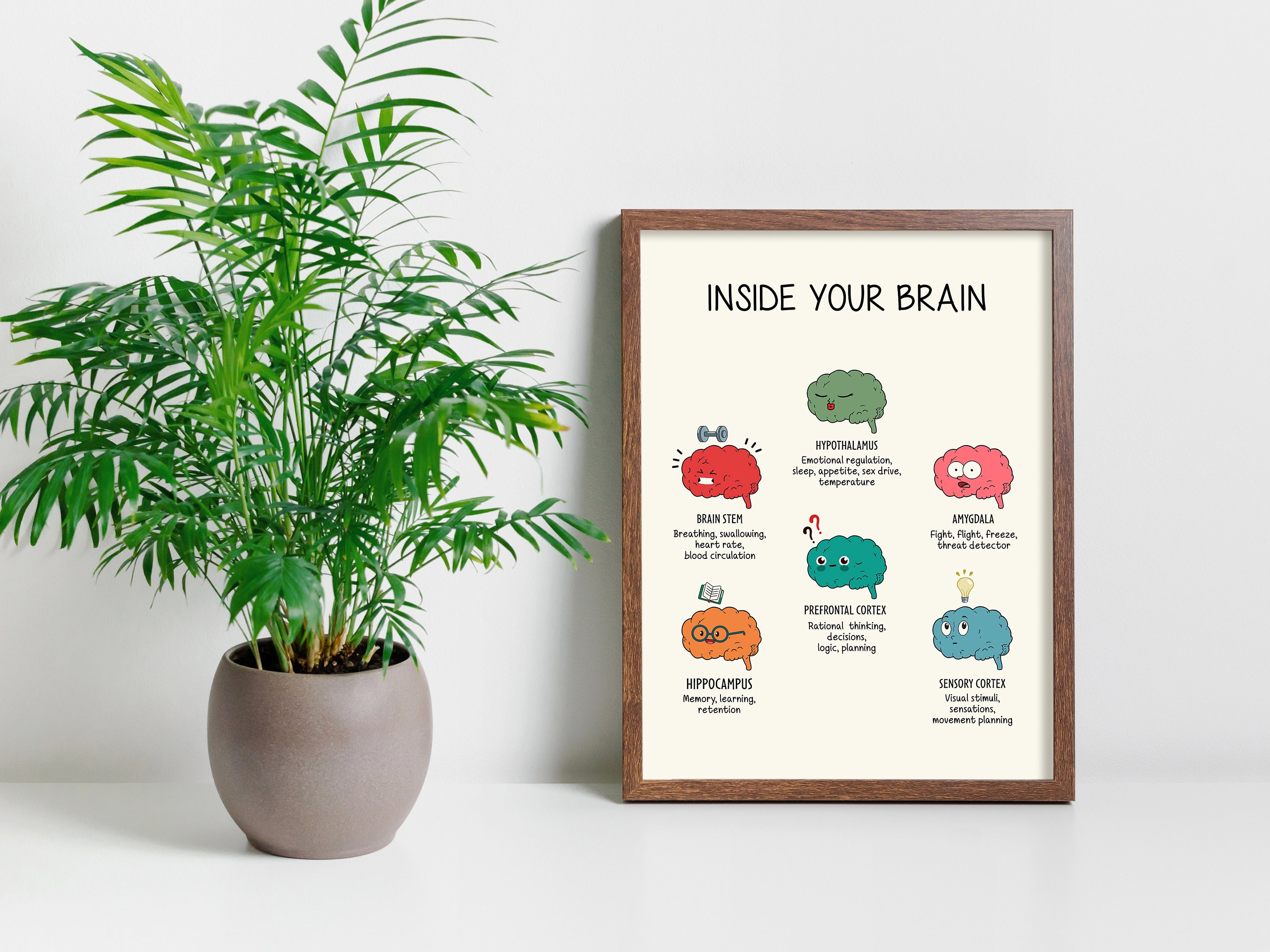 Brain Functions Poster, Inside Your Brain, the Human Brain Poster ...