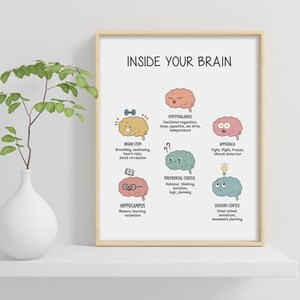 Brain Functions, the Human Brain Poster, Brain Model, Therapy Office ...